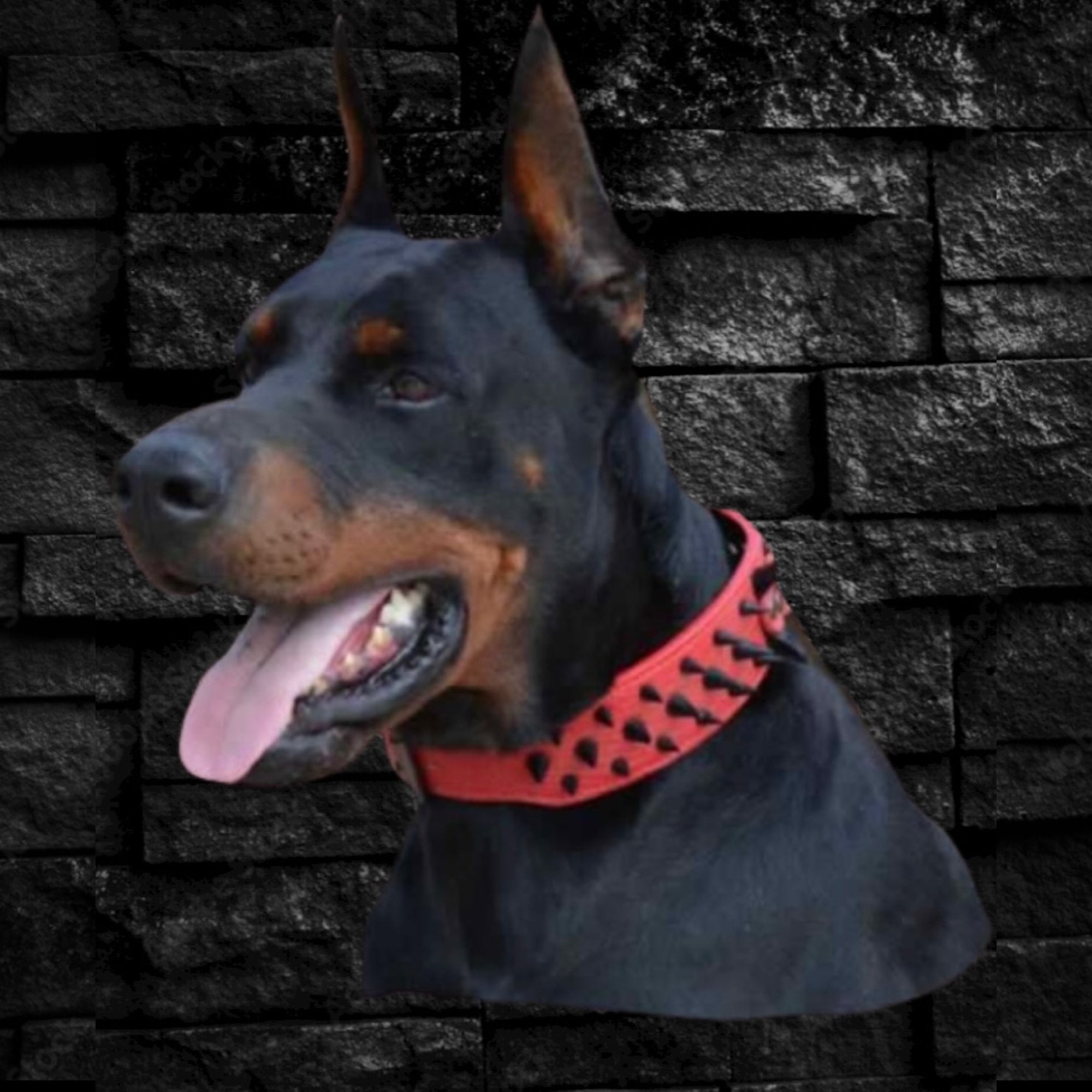 Nightmare Doberman Merch
